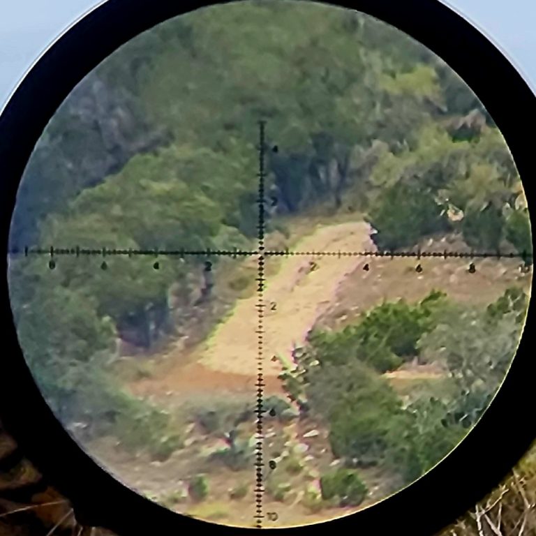 Optic Review: SIG SAUER TANGO-DMR 3-18X44 Rifle Scope - Shooting News ...