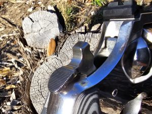 Gun Review: Colt Python Combat Elite Revolver - Shooting News Weekly