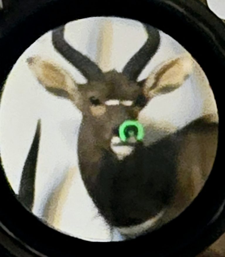 Optic Review: Primary Arms SLx 1X MicroPrism Gen II Optic with Green ...