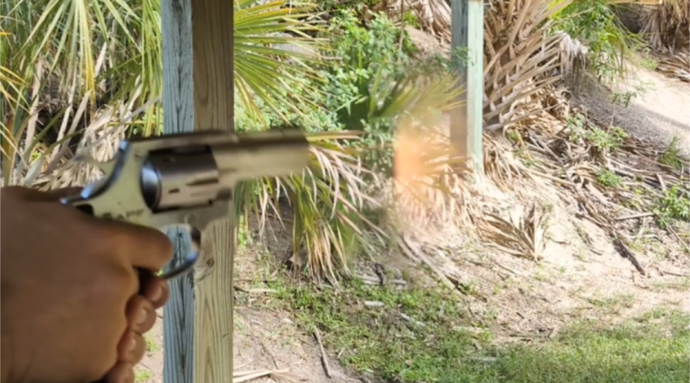 Revolver Rants: Czech Out APF’s R1 Wheel Guns - Shooting News Weekly