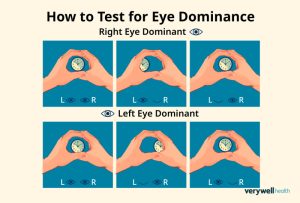 Dominant Eye or Cross Dominant - Does it Really Matter? - Shooting News ...