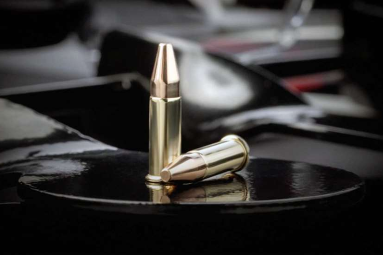 The New Rimfire: Winchester’s 21 Sharp Cartridge - Shooting News Weekly