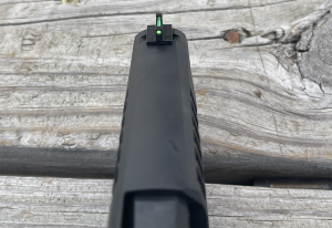 Gun Review: SIG SAUER P365-FUSE 9mm Pistol - Shooting News Weekly