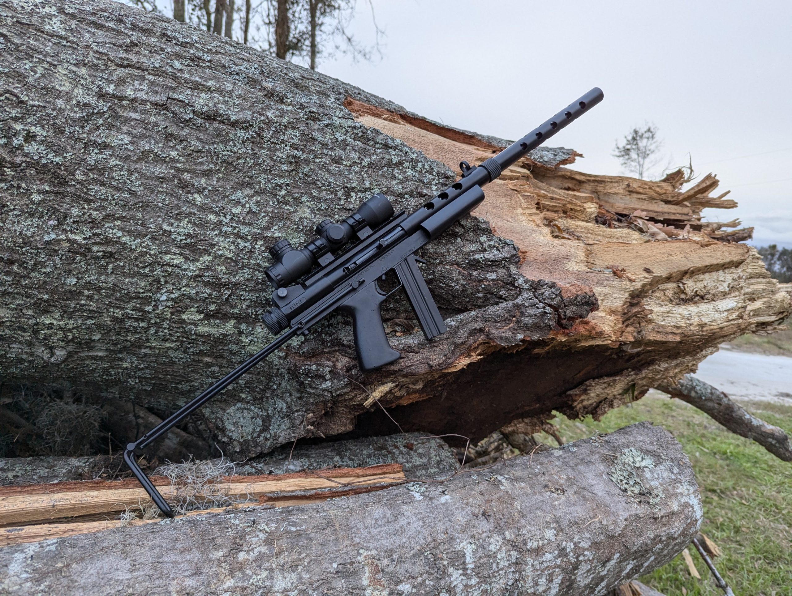 The Feather Industries AT-22 Carbine — A Survivalist’s Friend ...