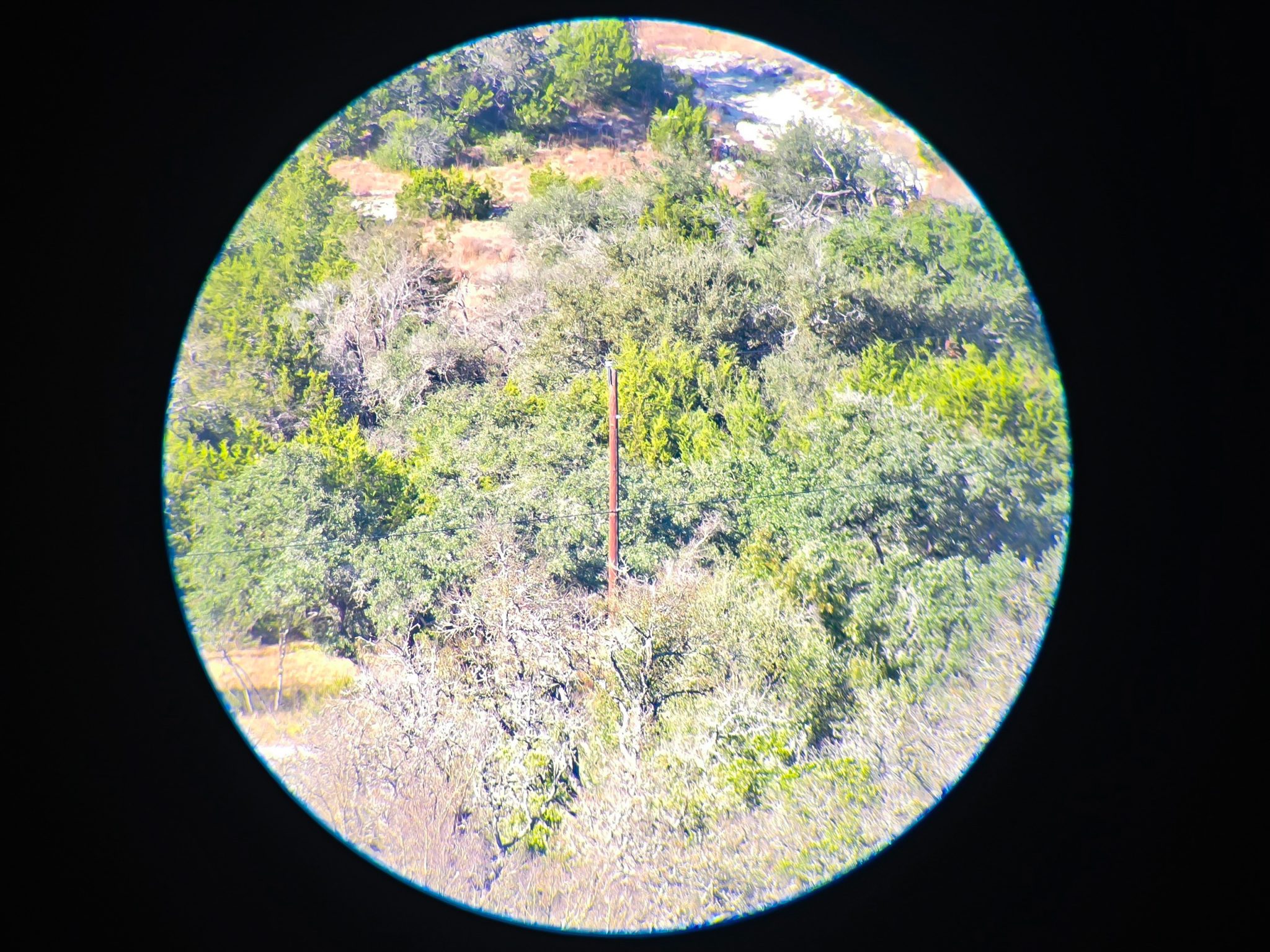 Optic Review: Winchester Optics Supreme W20-60x80mm Spotting Scope ...