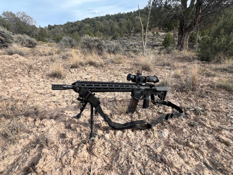 Gun Review: X2 Dev Group AR-X LightFighter Rifle - Shooting News Weekly