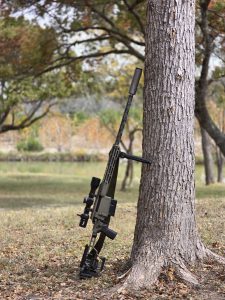 Gun Review: SIG SAUER CROSS-MAGNUM SAWTOOTH Rifle - Shooting News Weekly