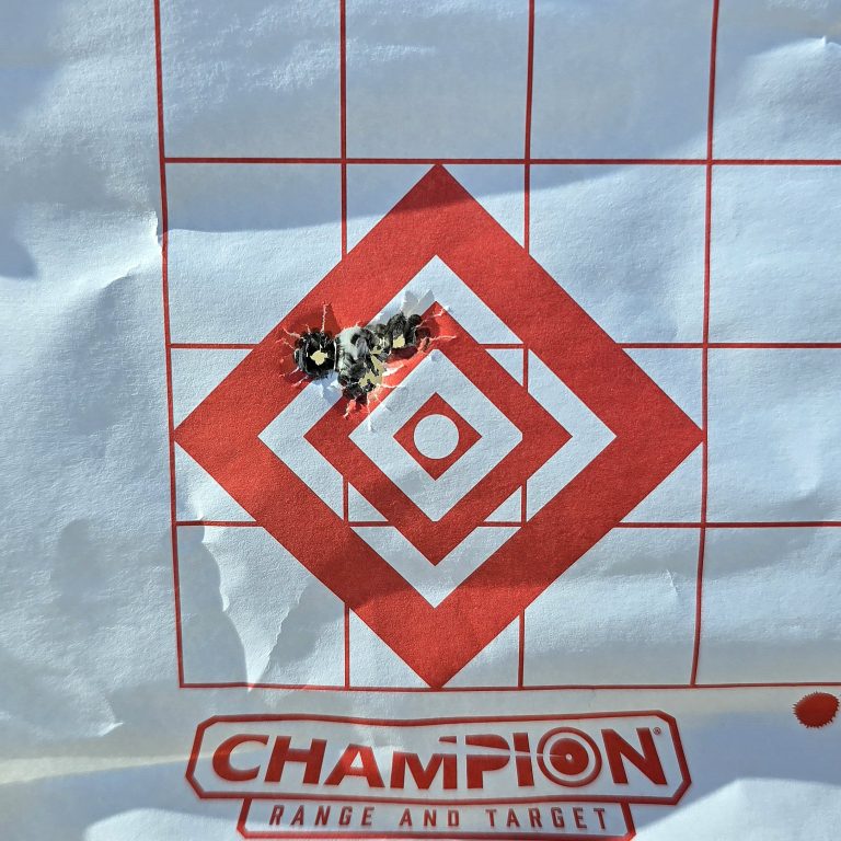 Gun Review: SIG SAUER CROSS-MAGNUM SAWTOOTH Rifle - Shooting News Weekly