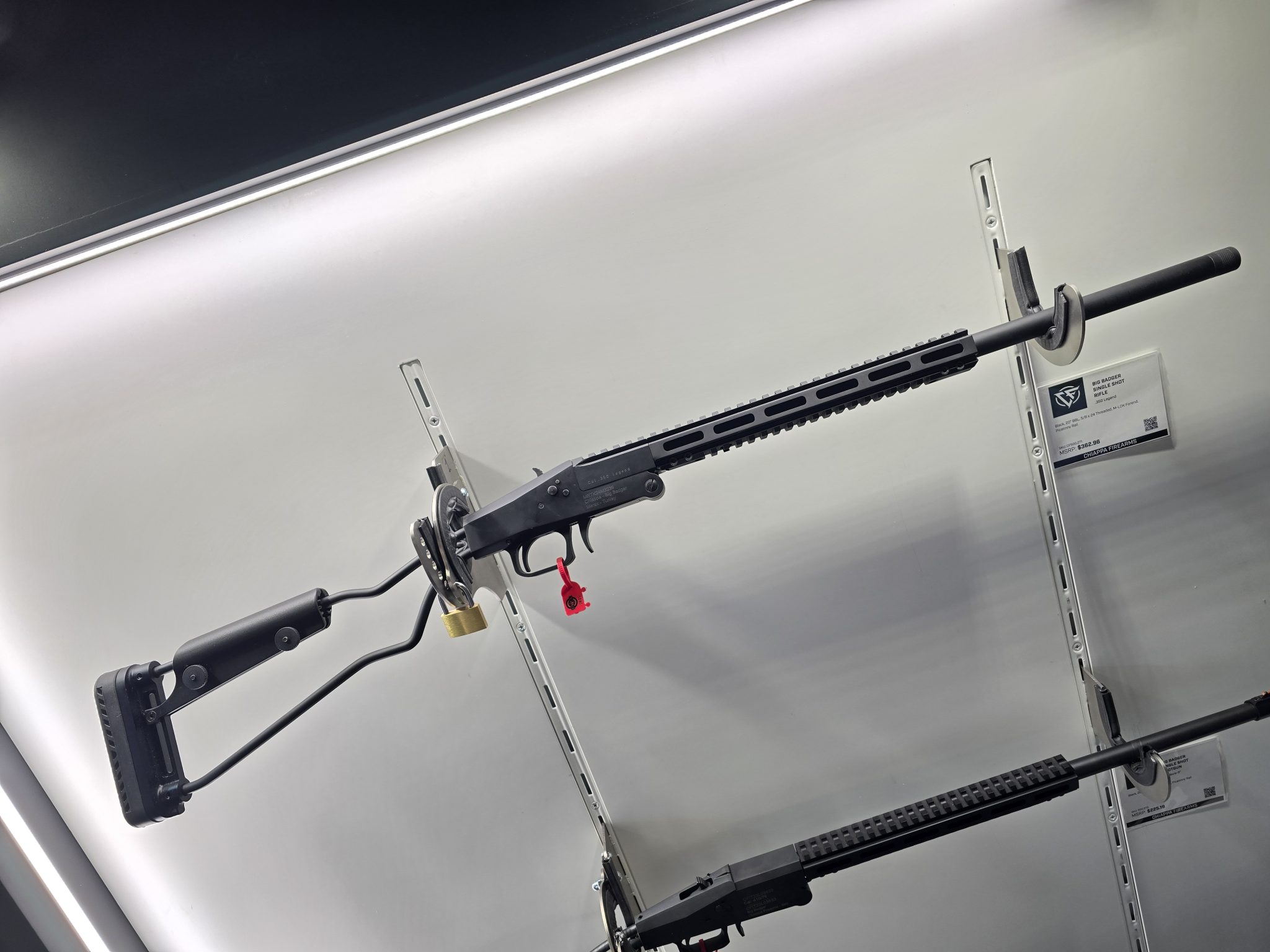 SHOT Show 2025: Chiappa Big Badger Folding ‘Survival’ Rifles - Shooting ...