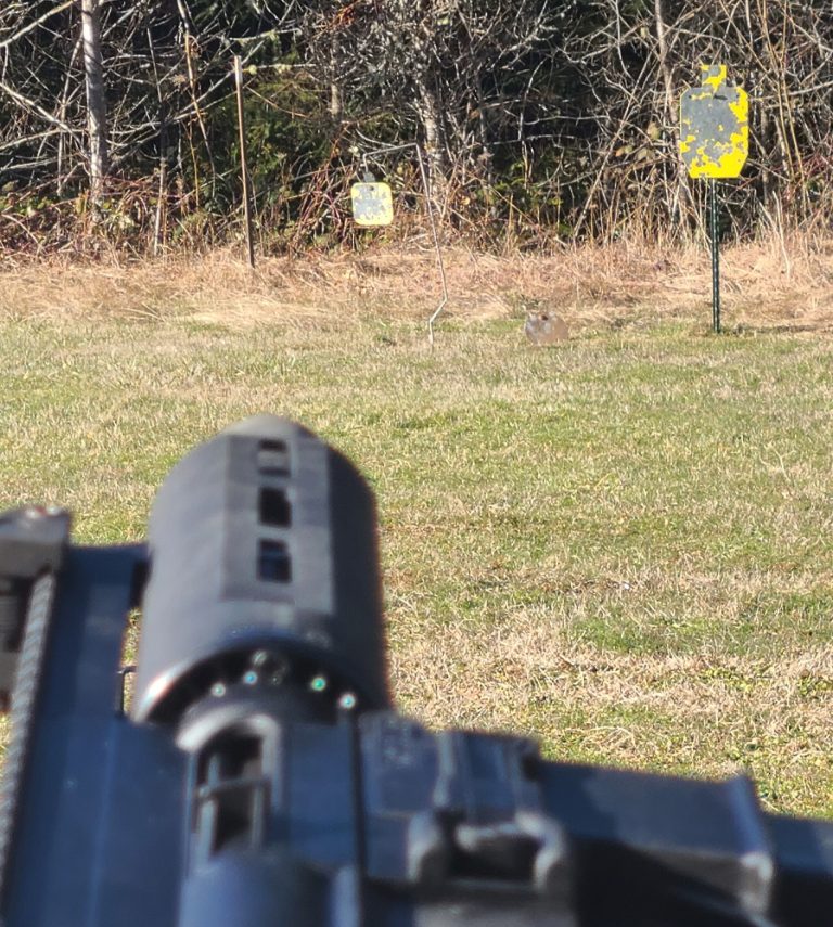 The Extar EP45 in .45 ACP May Be the Best Budget Subgun You Can Buy ...