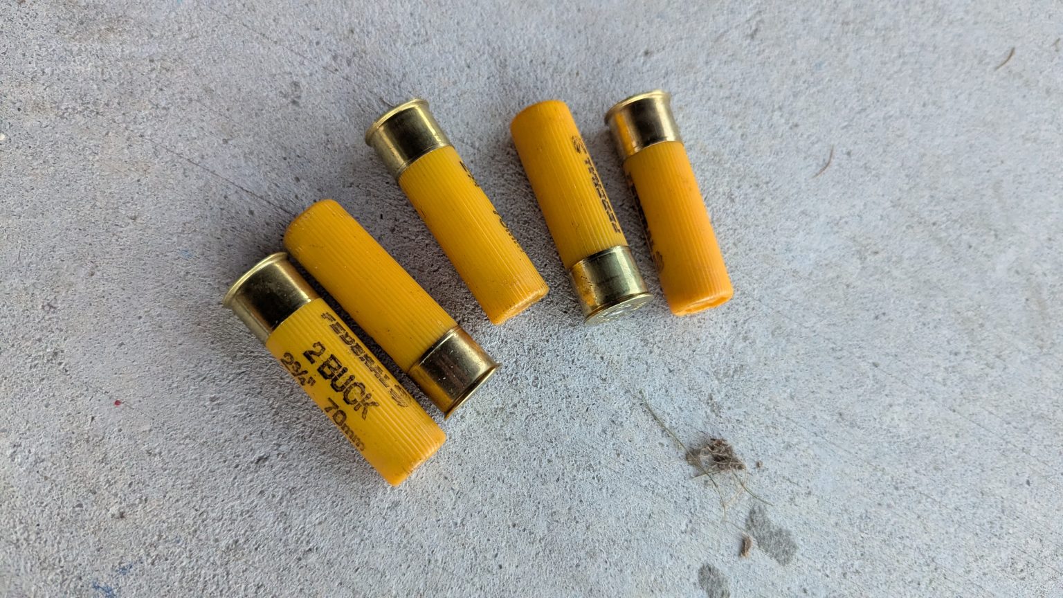 Federal Flitecontrol 20 Gauge - Load Review - Shooting News Weekly