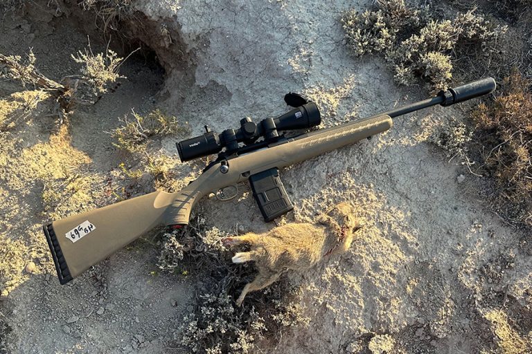 Gun Review: Ruger American Ranch Rifle - Shooting News Weekly