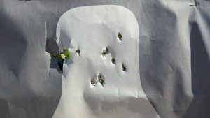 Shotgun Ammo: The Problem with No. 4 Buckshot for Home Defense ...
